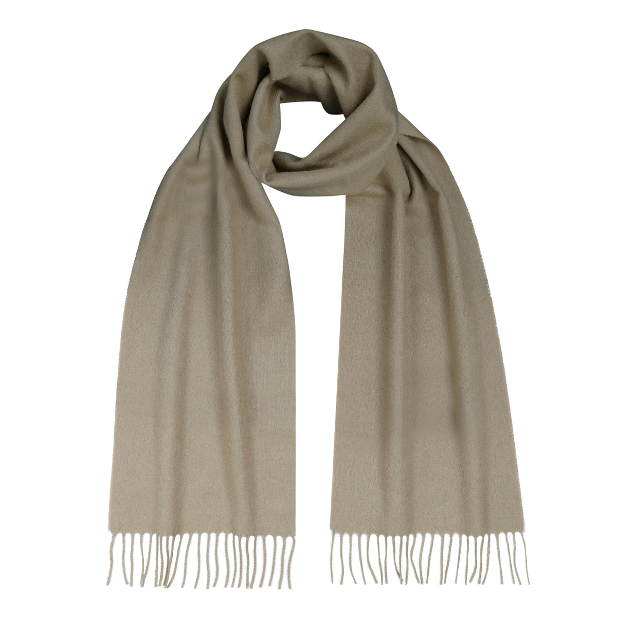 Pure Cashmere Scarves - All The Colours | The Cashmere Choice
